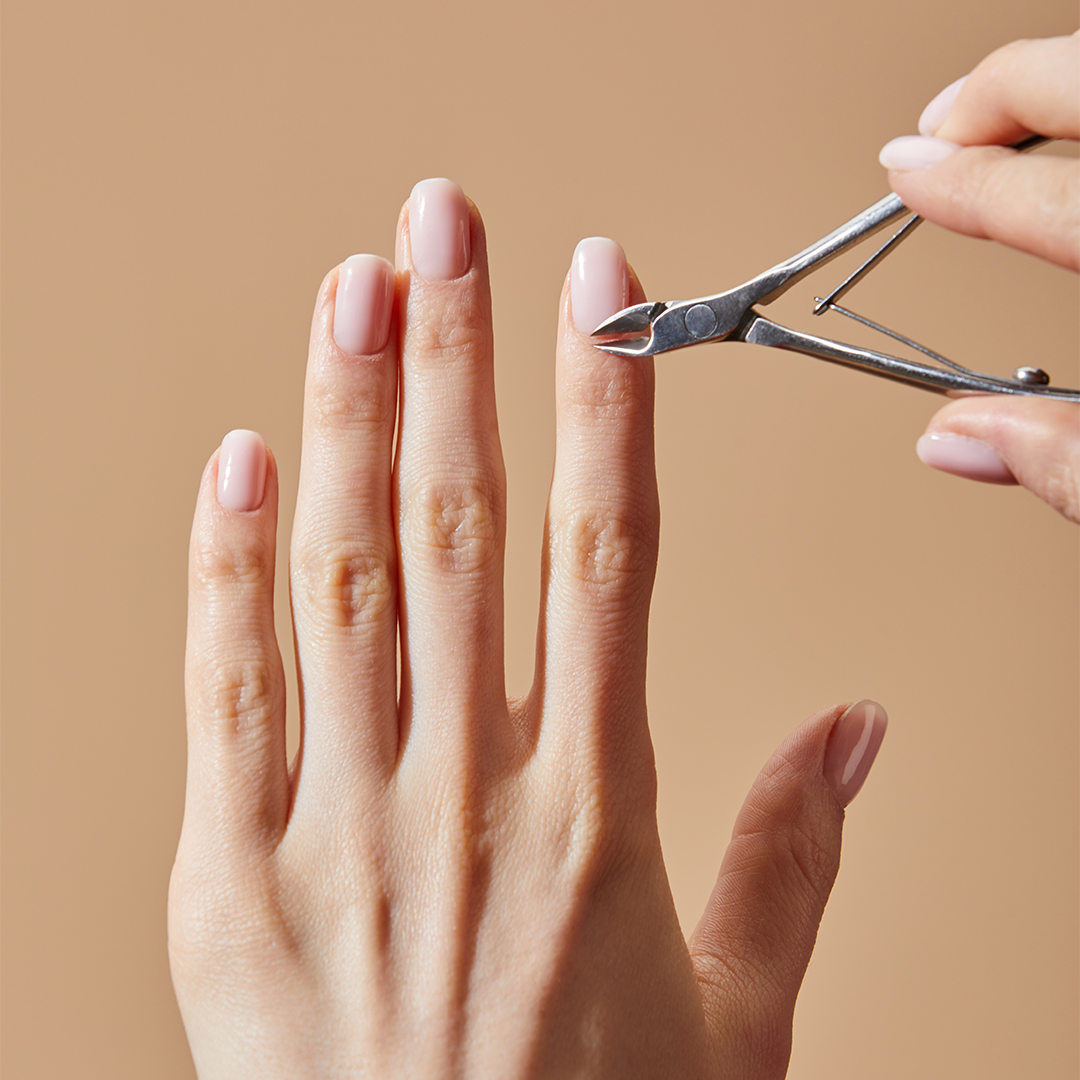 Nail Nippers – Shop & Dispatch