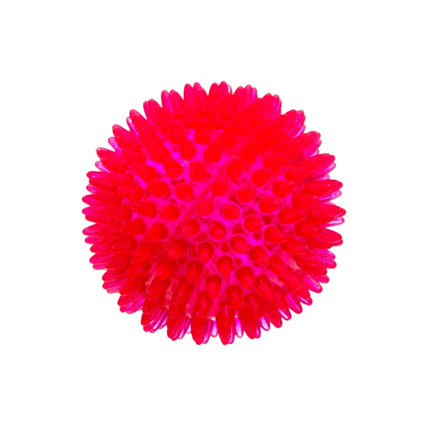 All Day Bouncing Spiny Ball Dog Toy Assorted 8cm – Shop & Dispatch